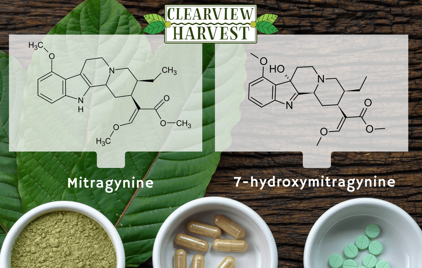 What is Kratom? - Clearview Harvest